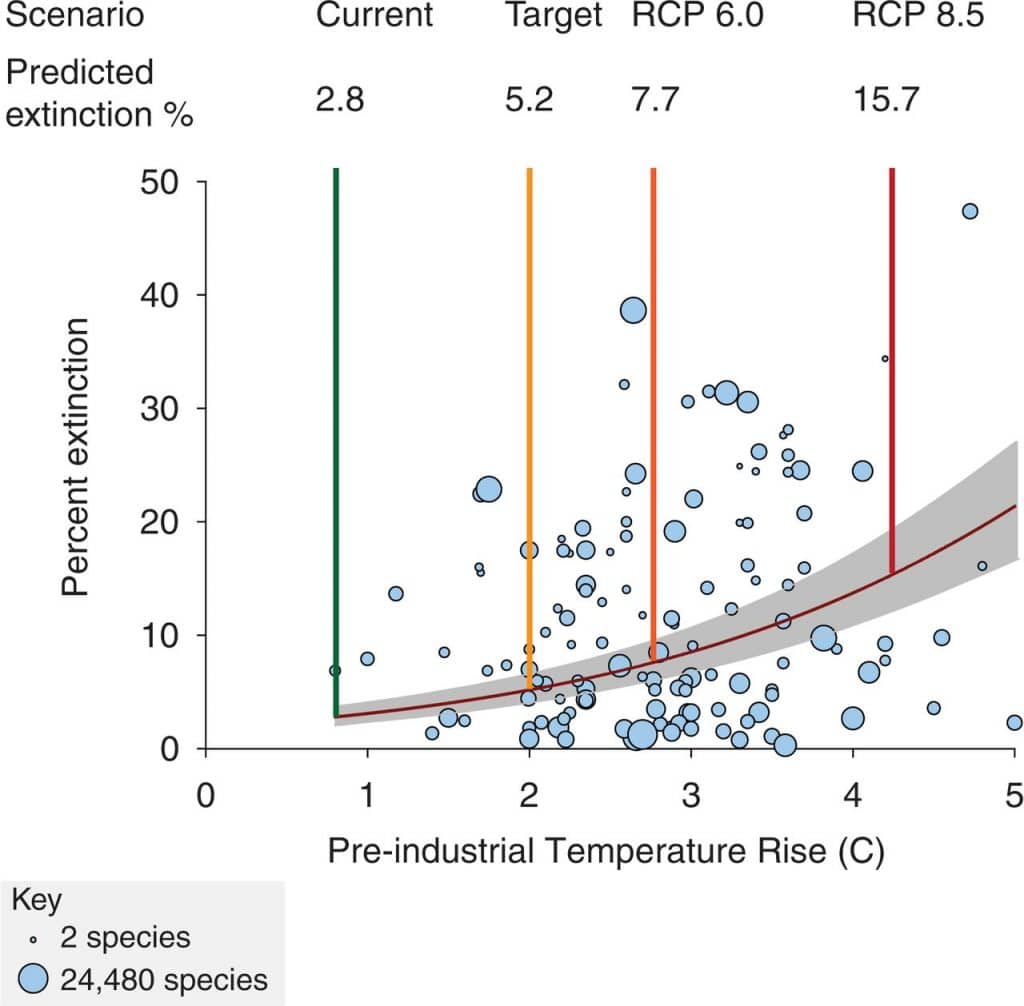 Global warming and extinction risk | Study by University of Erlangen ...