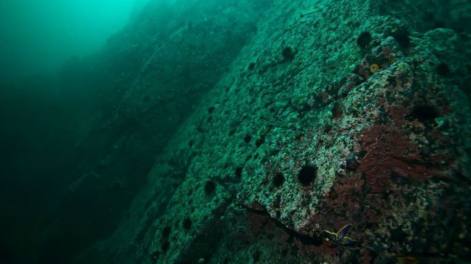 Exploring carbon storage deep beneath the seabed says study | Indian ...