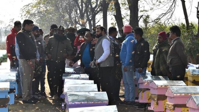 MSME | Beekeeping is the Medium of Sweet Revolution | Indian ...