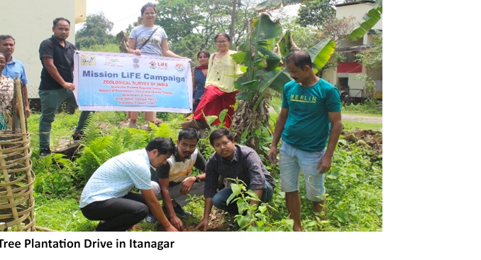 25,000+ LiFE-related events take place mobilizing individuals to take ...